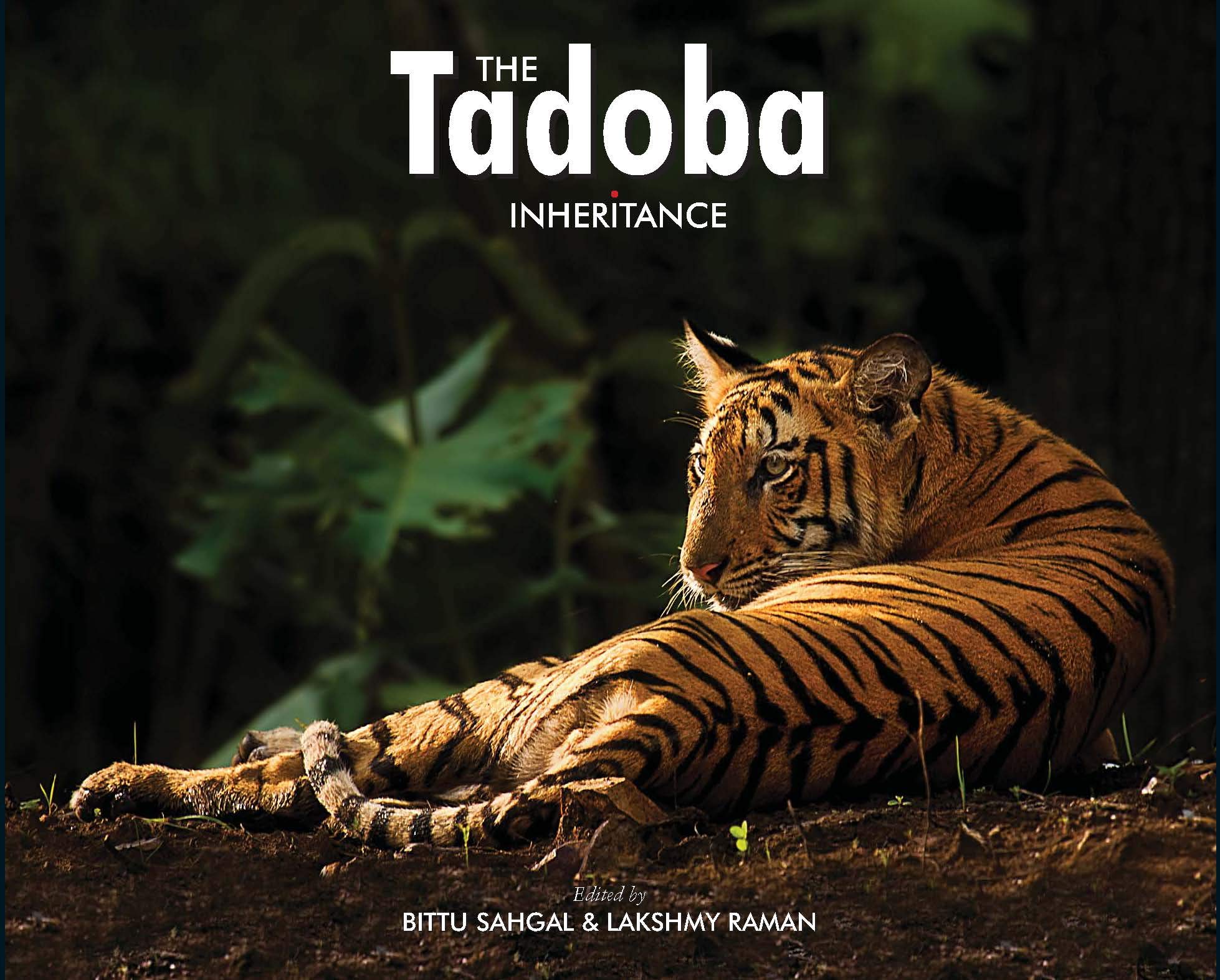 Buy The Tadoba Inheritance - A Comprehensive Travel Guide to India's ...