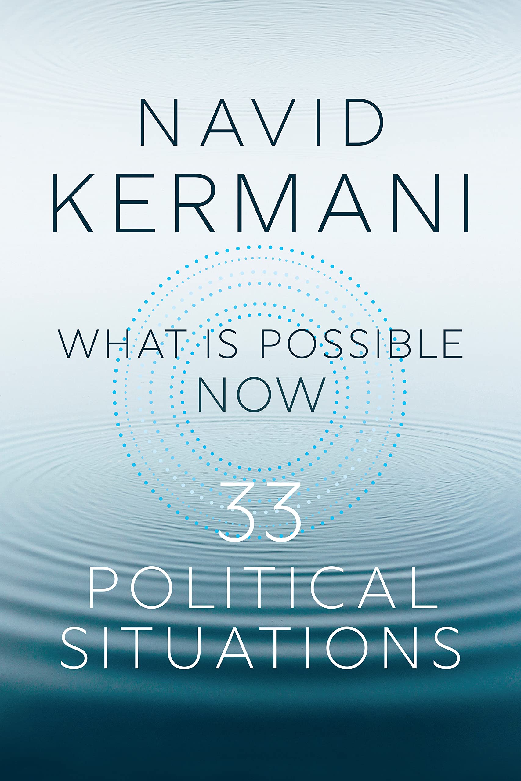 What is Possible Now: 33 Political Situations: Kermani, Navid, Crawford ...