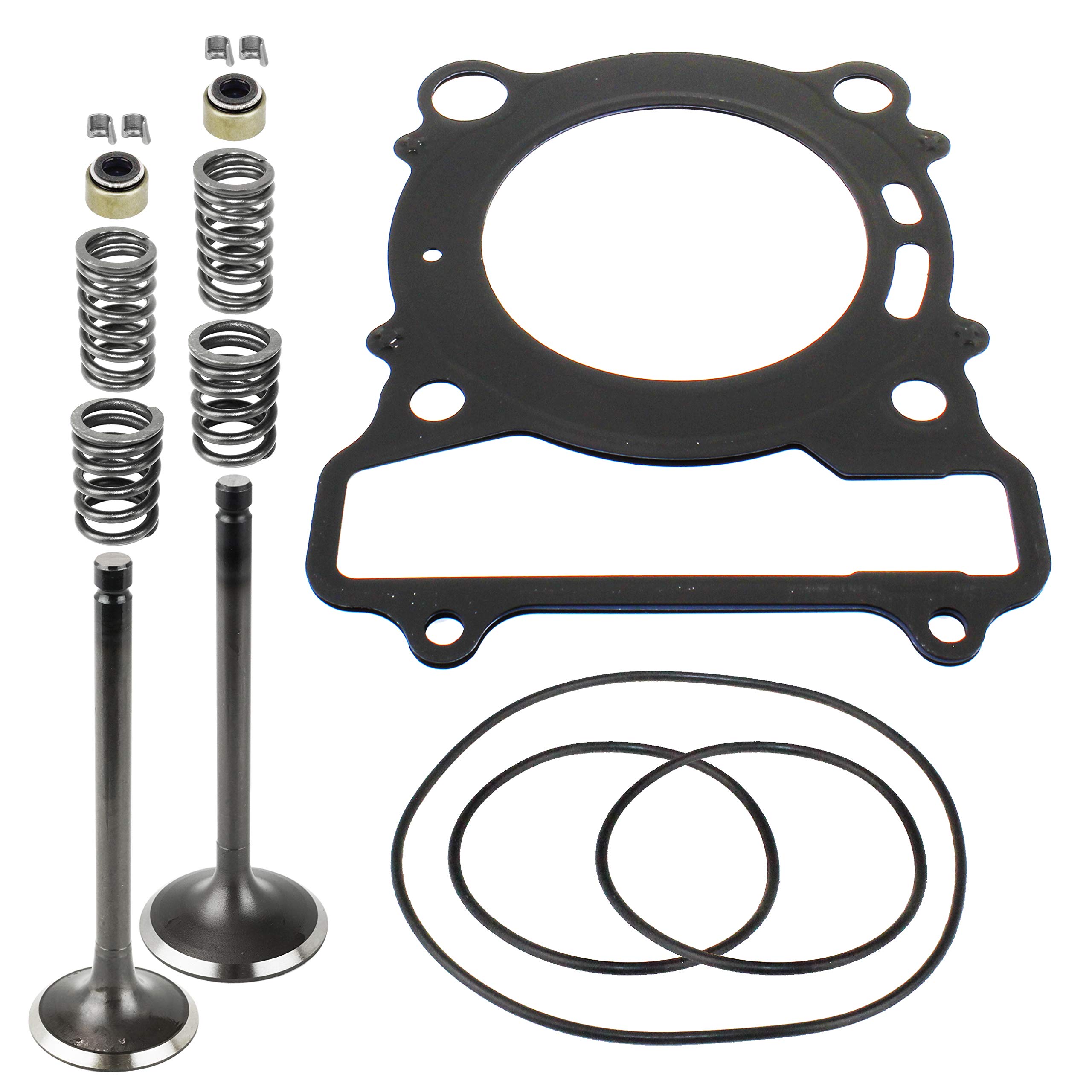 Amazon.com: Caltric Cylinder Head Intake Exhaust Valve Kit Compatible ...