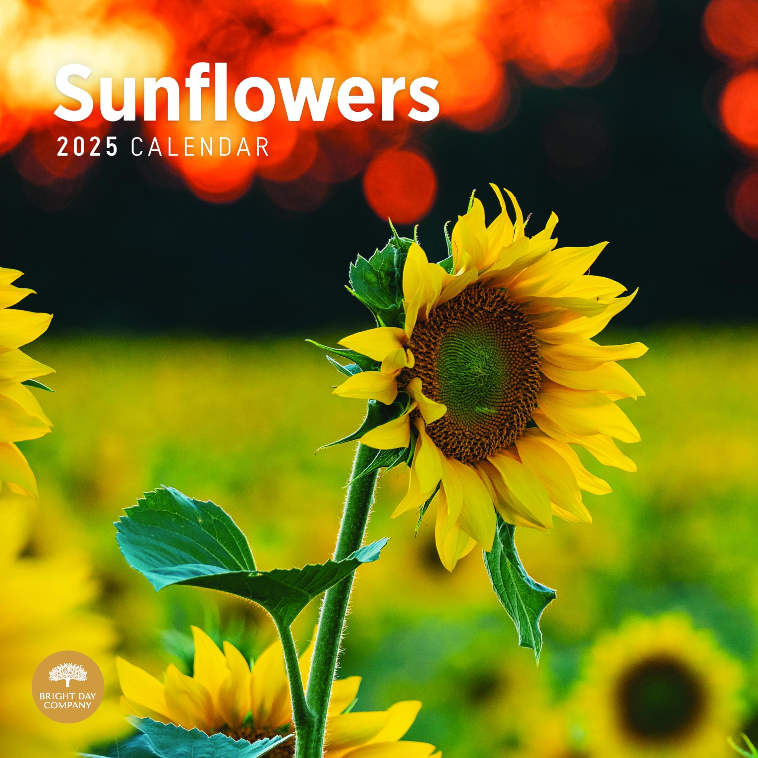2025 Sunflowers Monthly Wall Calendar by Bright Day, 12 x 12 Inch ...