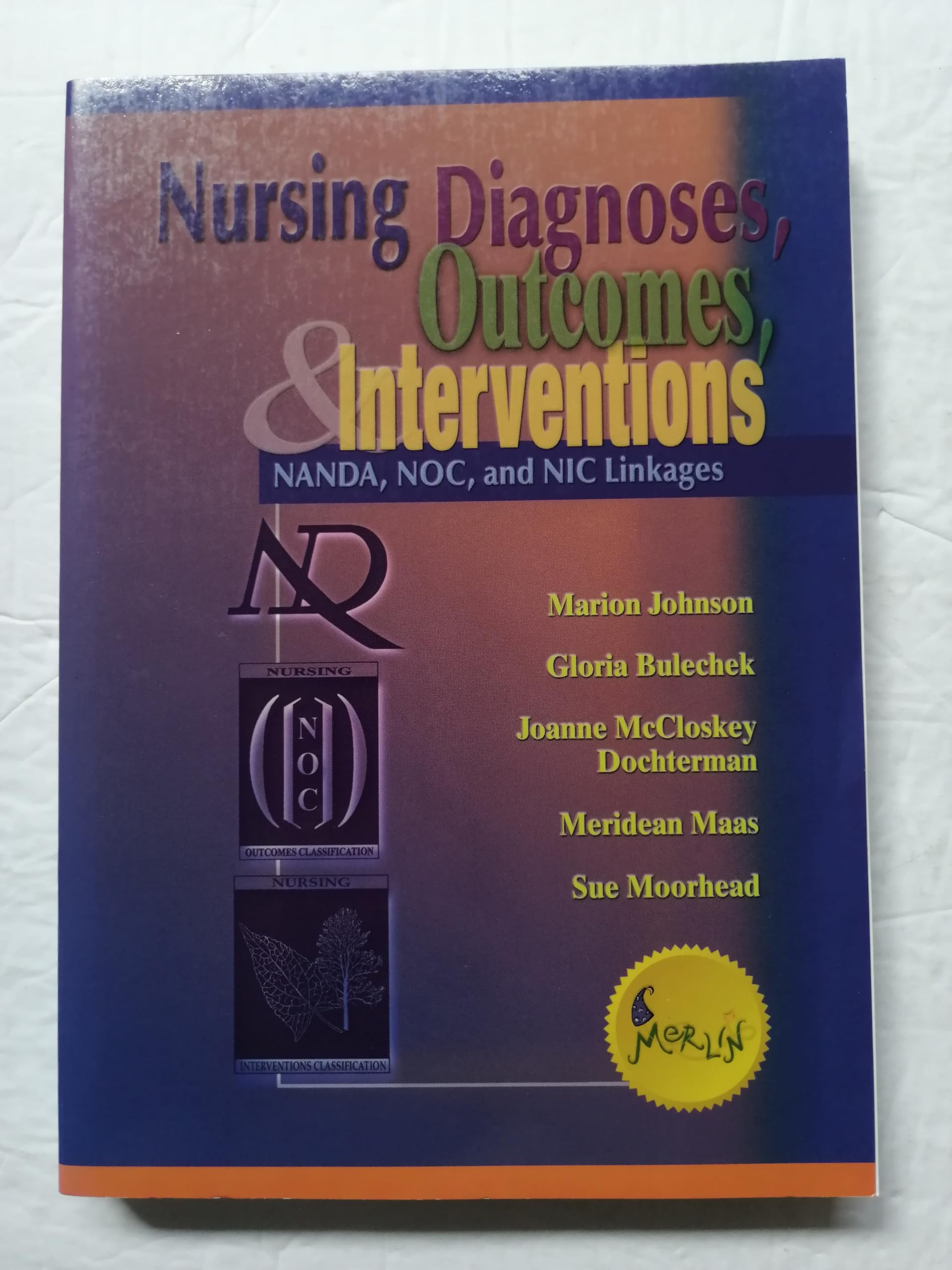 Nursing Diagnoses, Outcomes, and Interventions: NANDA, NOC and NIC ...