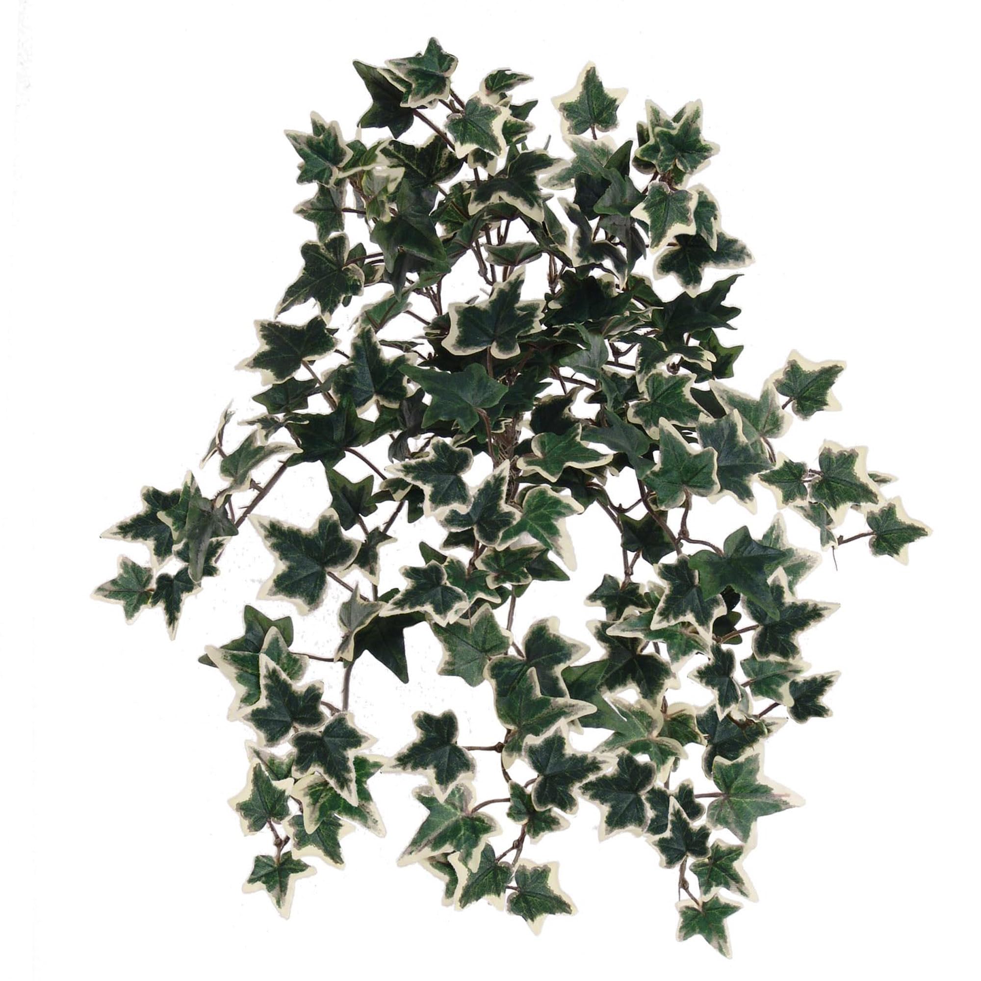 Amazon.com: 13-Inch Mini English Ivy Bush - Realistic Silk Leaves - UV ...