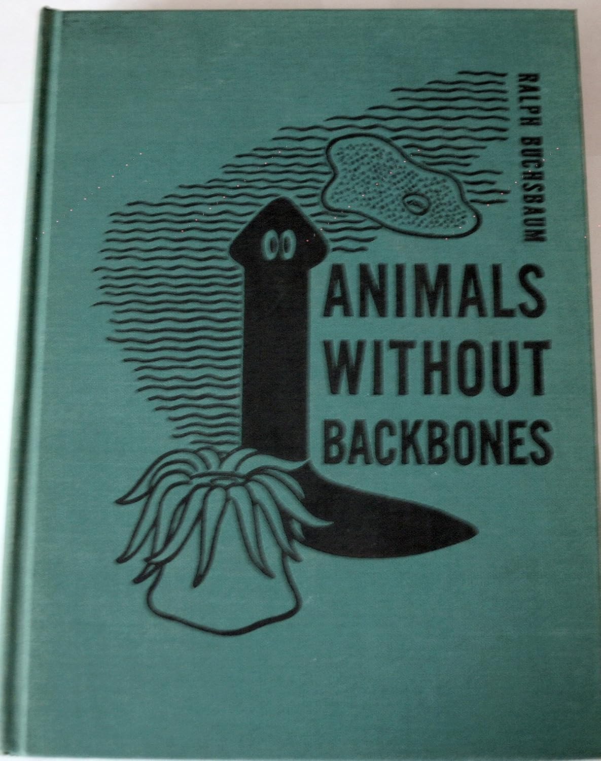 Animals Without Backbones: Ralph Morris Buchsbaum: Amazon.com: Books