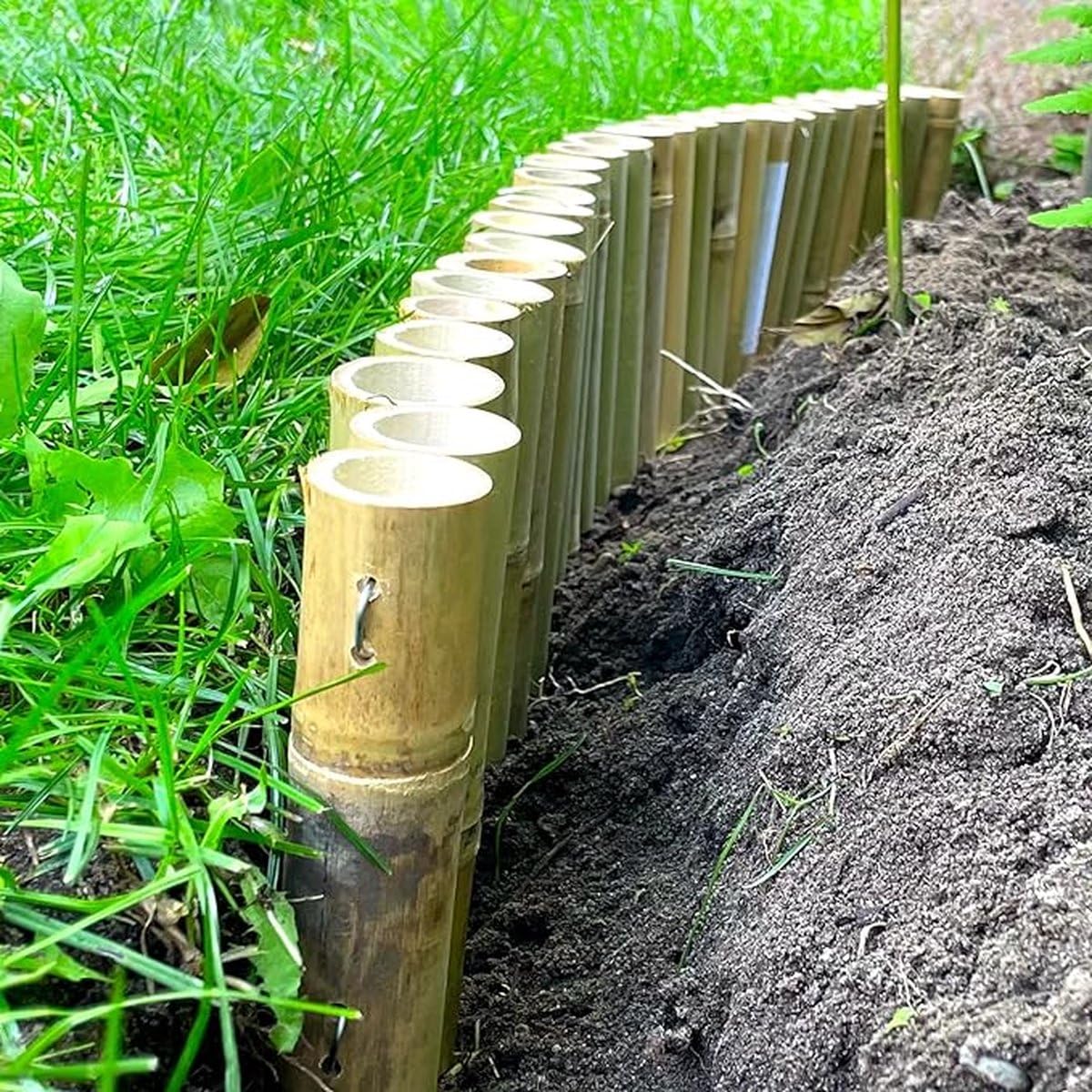 Bambú De Jardín Con Bordes Irregulares Las Mejores 16 Ideas De