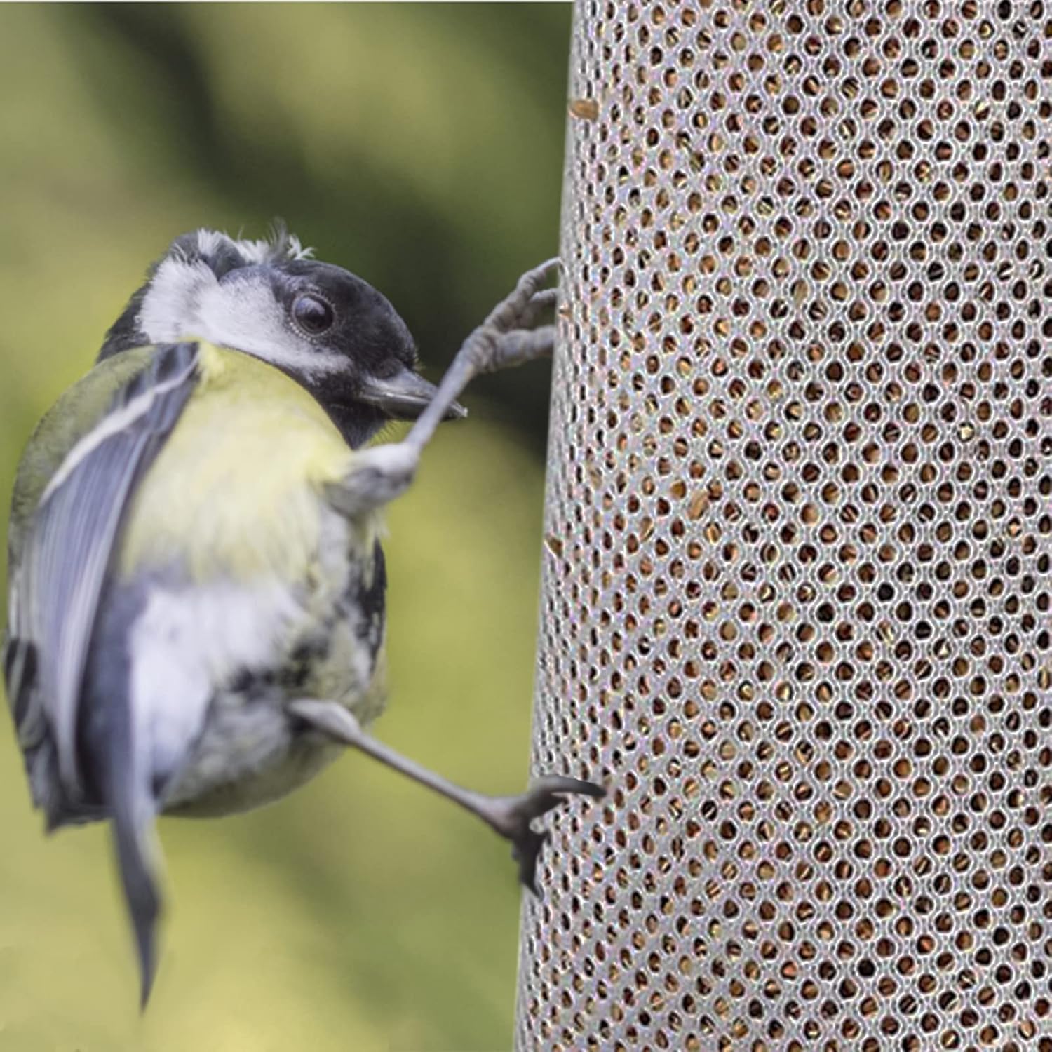 Amazon.com : 6PCS Hanging Finch Sock Feeder, Finch Feeder Thistle Socks ...