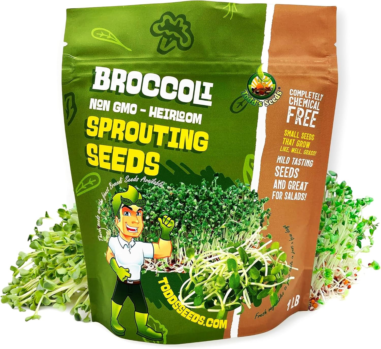 Sprouting Broccoli Seeds, One Pound - Todd's Seeds : Amazon.ca: Patio ...