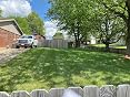 Amazon.com : SeedRanch Falcon IV Turf Type Tall Fescue Grass Seeds - 25 ...
