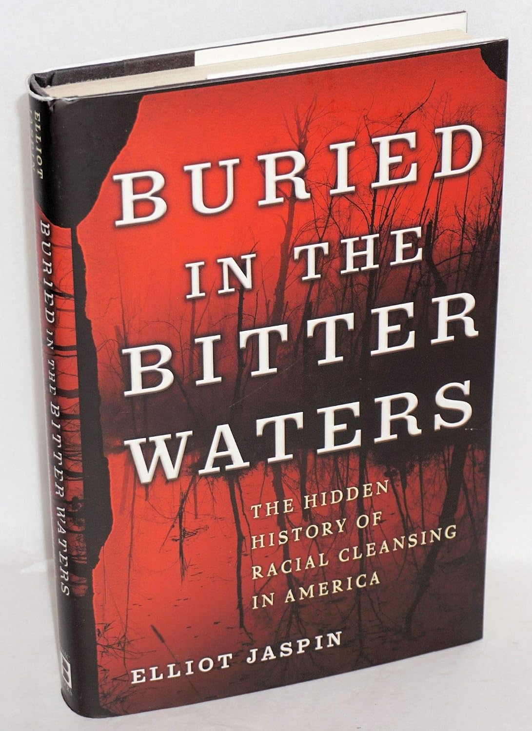 Buried in the Bitter Waters: The Hidden History of Racial Cleansing in ...