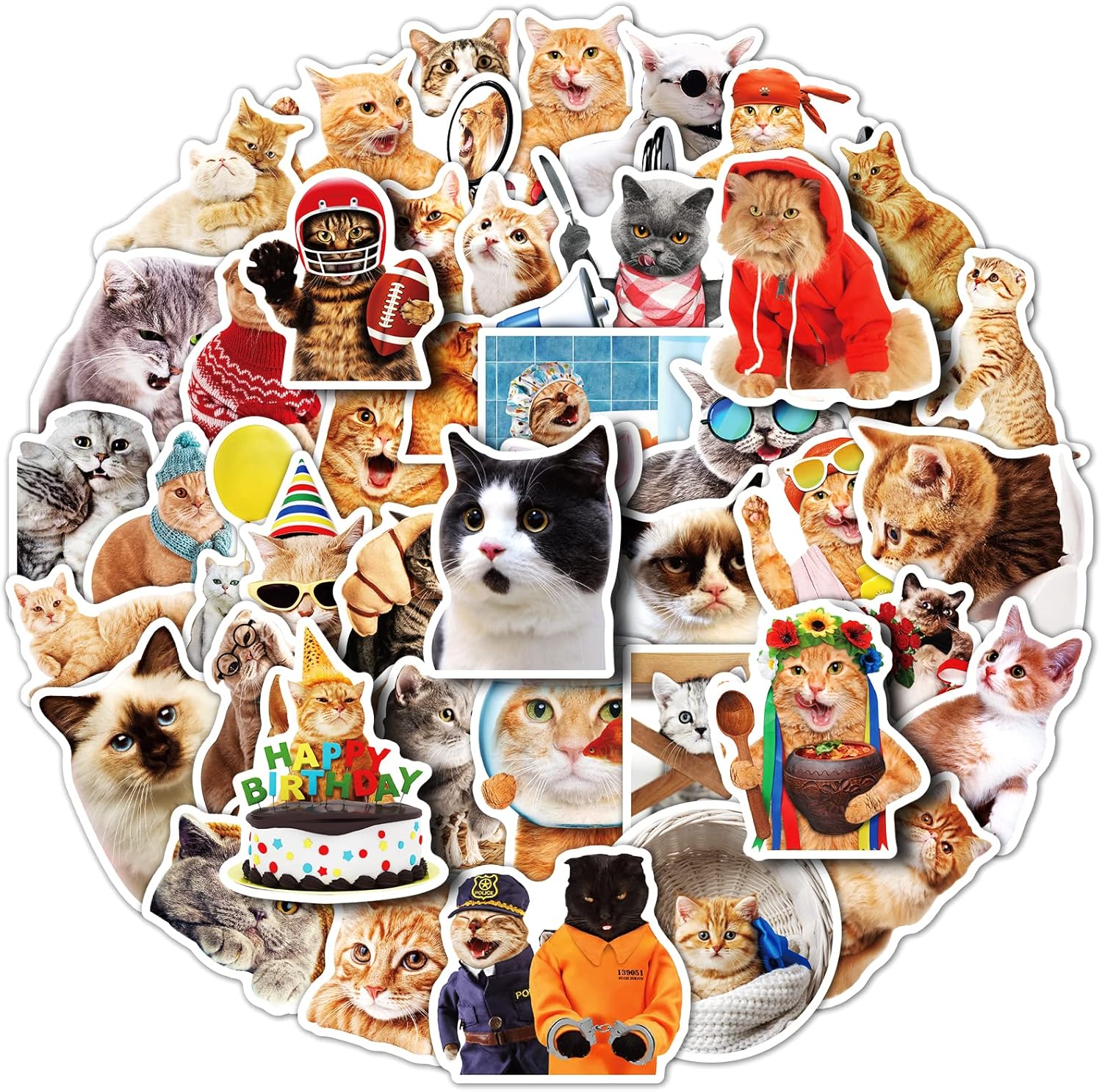 Amazon.com: Cat Stickers 50PCS Cute Funny Cat Sticker for Kids Teens ...