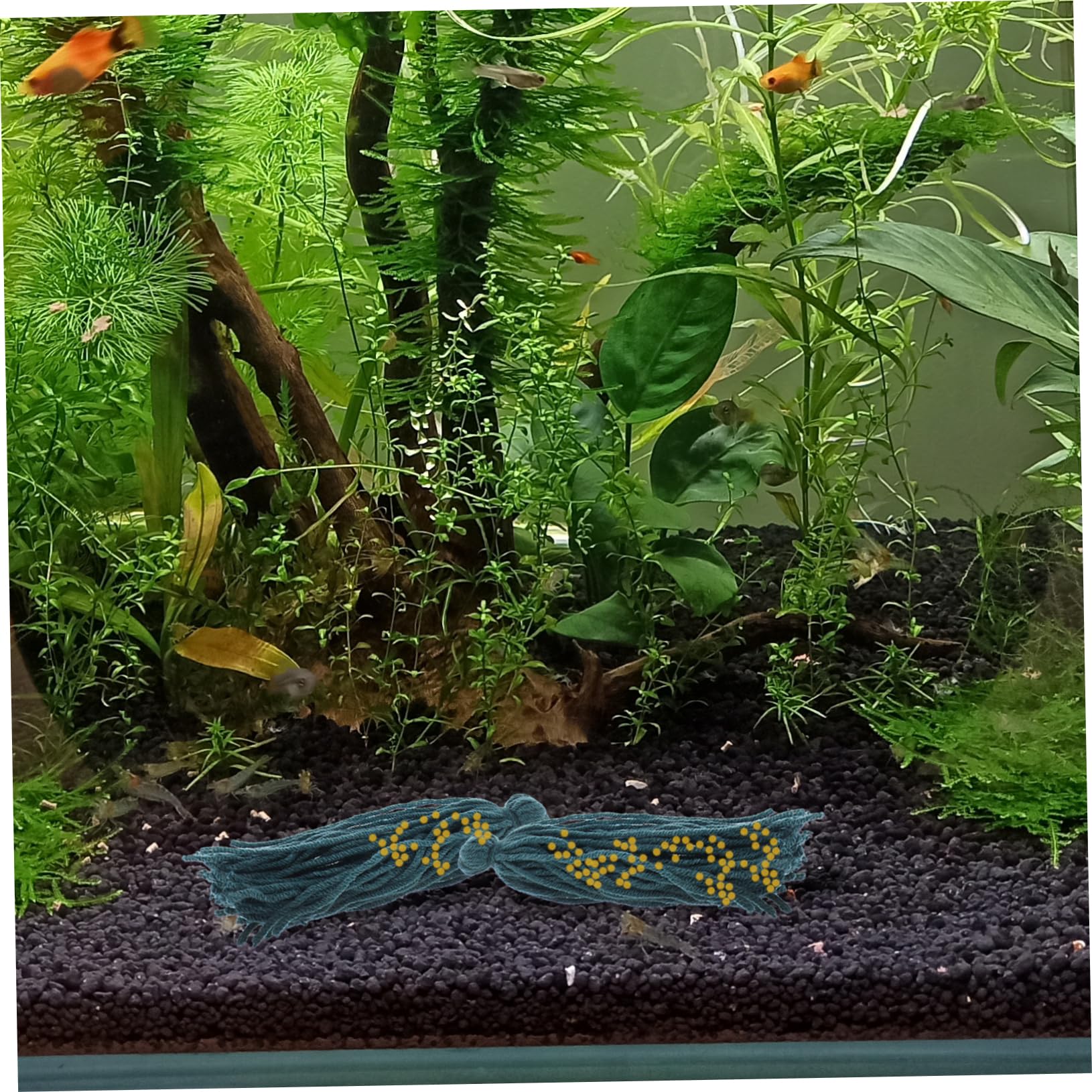 KONTONTY 5 Pcs Fish Spawning Mops for Angelfish and Aquatic Pets Safe ...