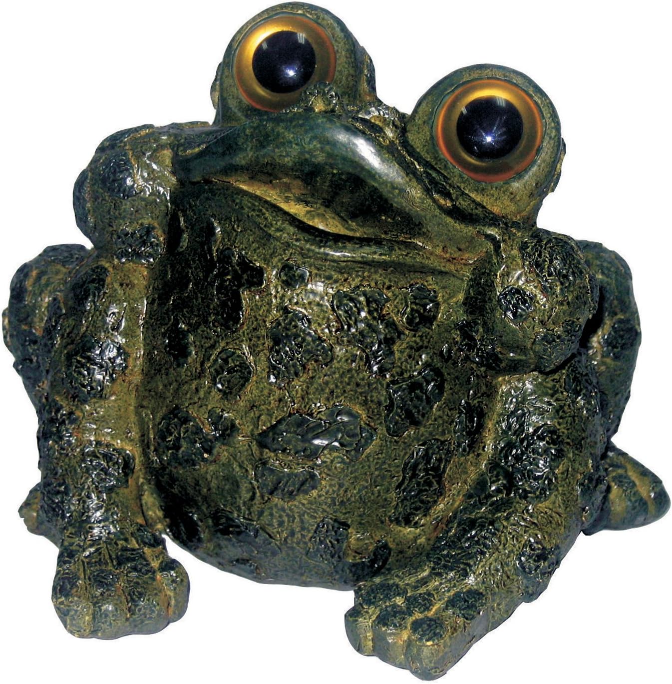 Amazon.com: Toad Hollow Cromwell The Croaking Motion Activated Frog ...