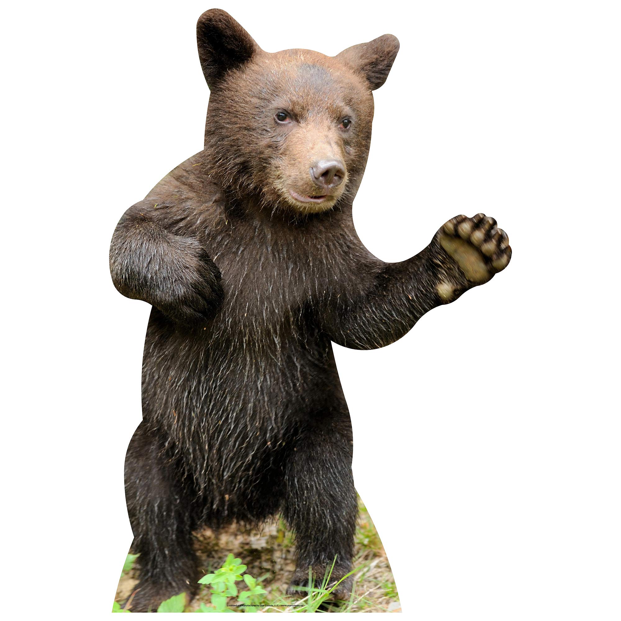 Amazon.com: SC2097 Bear Cub Cardboard Cutout Standup : Home & Kitchen
