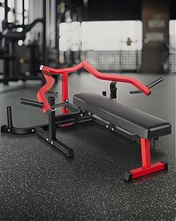 Incline Chest Press: Target Muscles And Effective Workout Benefits ...