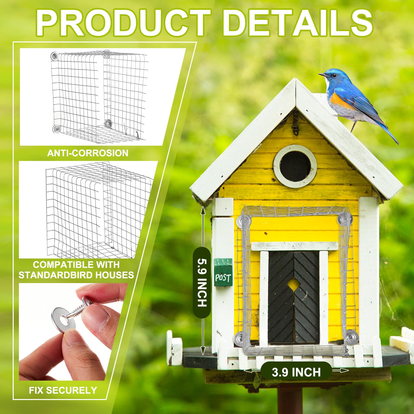 Bluebird House Hole Protector Three Designed Birdhouse Plans For