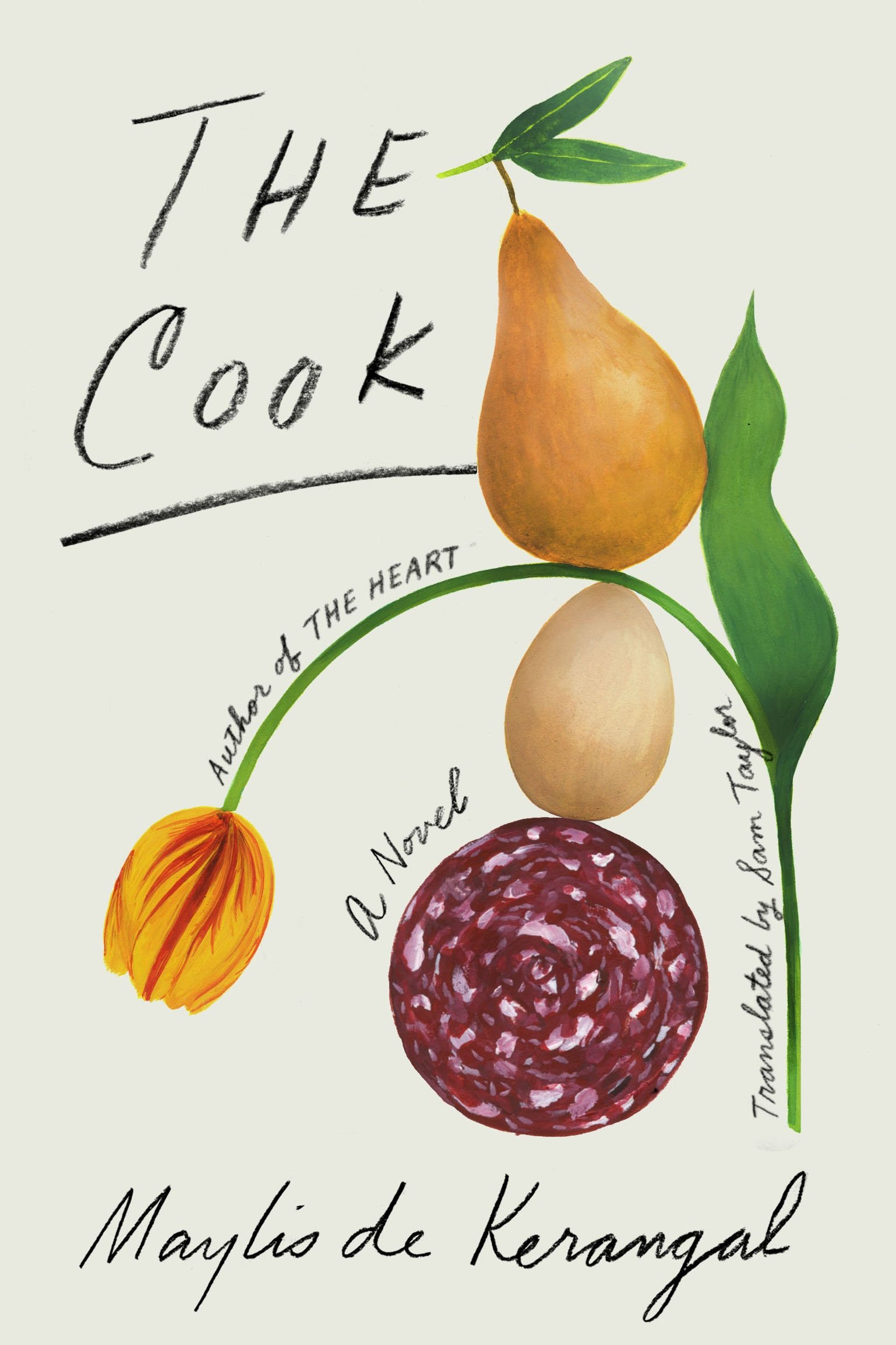 Amazon.com: The Cook: A Novel: 9780374120900: de Kerangal, Maylis ...