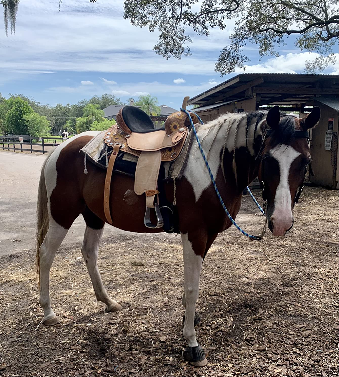 $48/mo - Finance HILASON Flex Tree Western Horse Saddle American ...