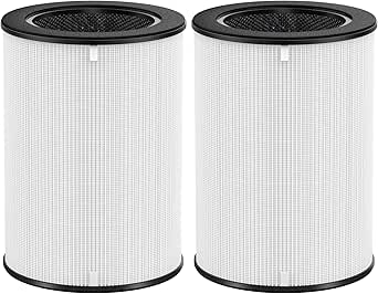 Amazon.com: 2 Pack AP-T45 AP-T40FL HEPA Replacement Filter Compatible ...