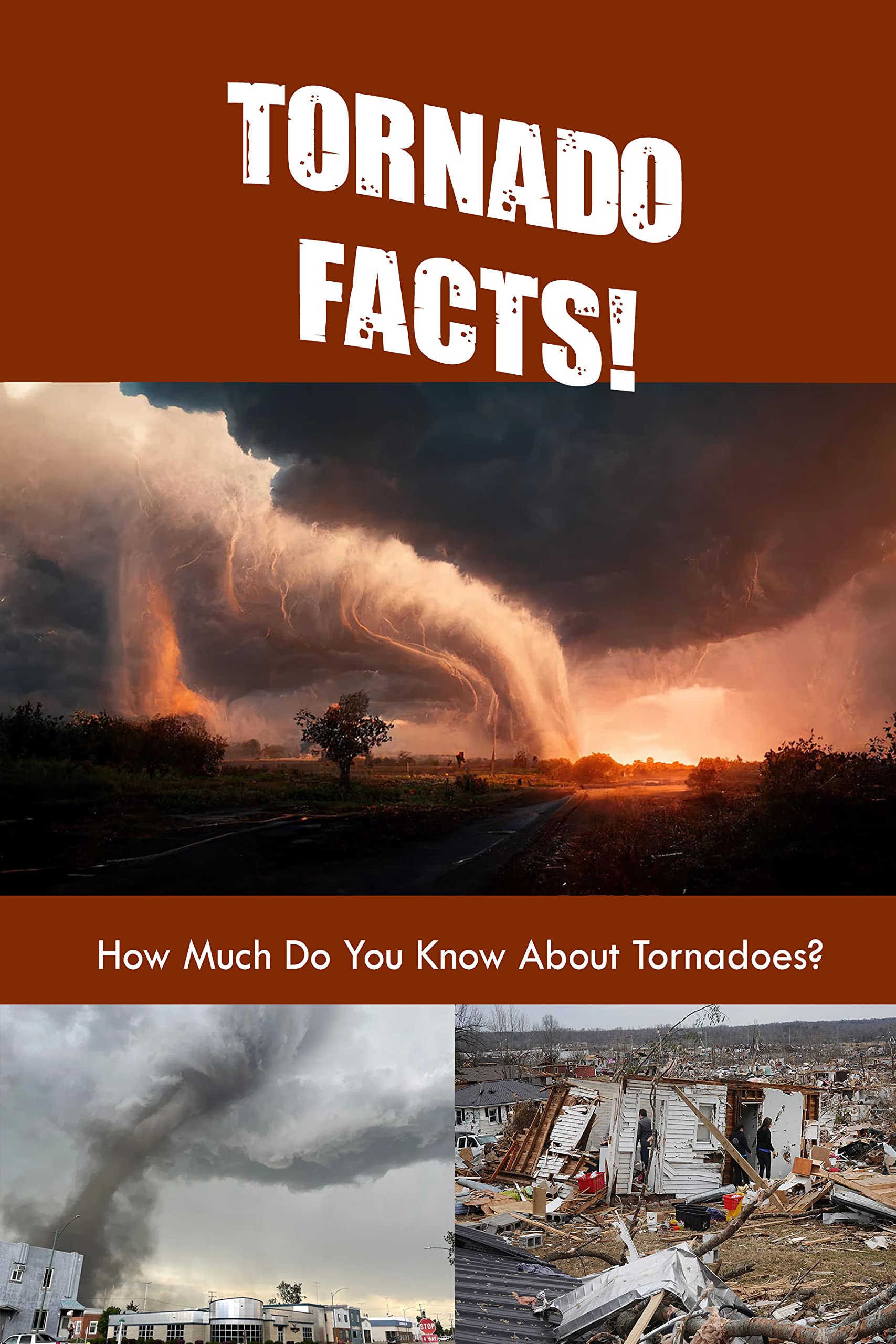 Buy Tornado Facts!: How Much Do You Know About Tornadoes?: Interesting ...