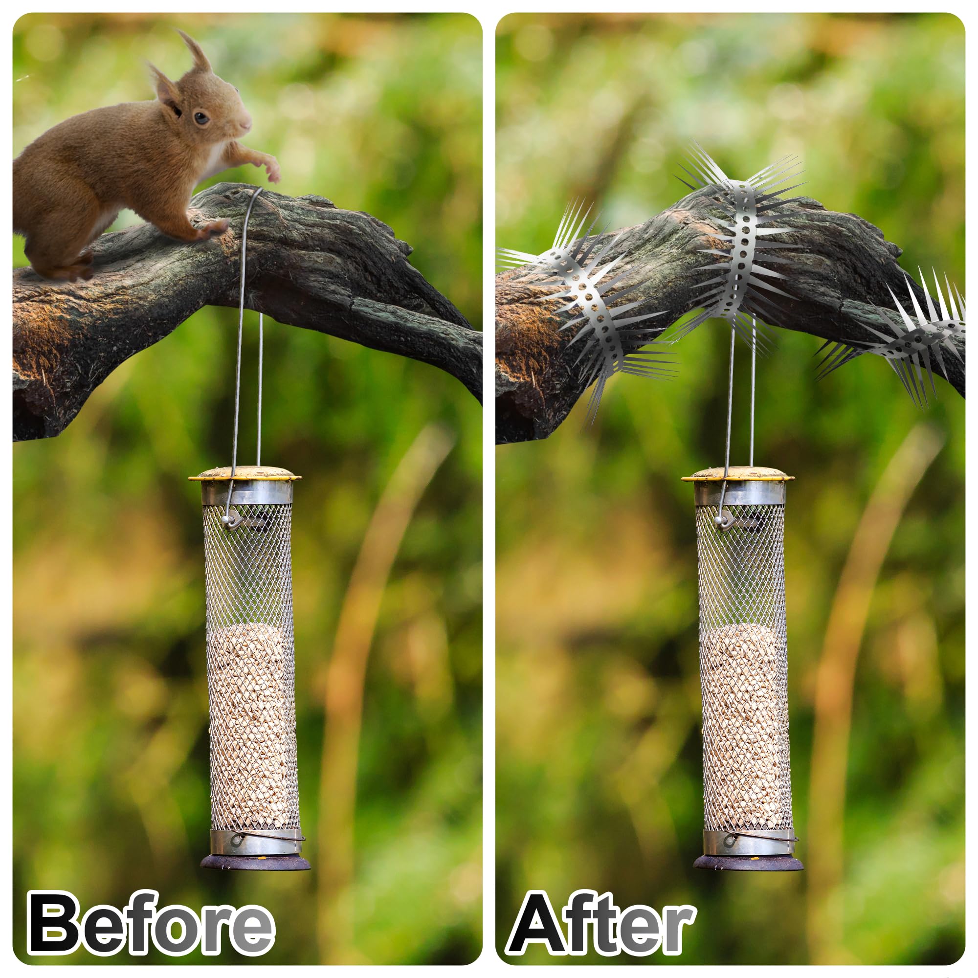 Raccoon Proof Bird Feeder