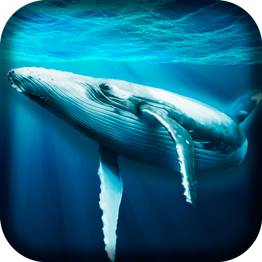 Aplicación Whale Simulator 3D en Amazon Appstore