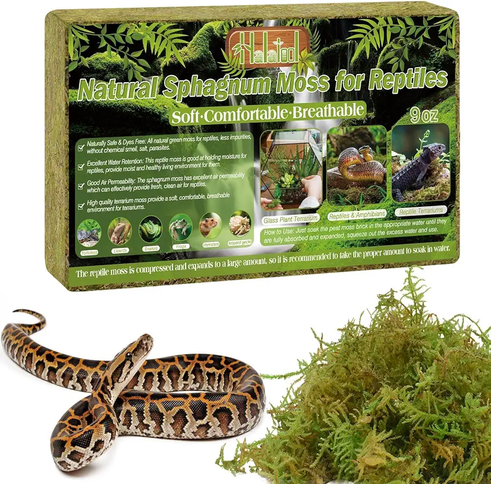 Creating A Bioactive Leopard Gecko Tank: The Ultimate Guide To A Natural And Enriching Habitat ...