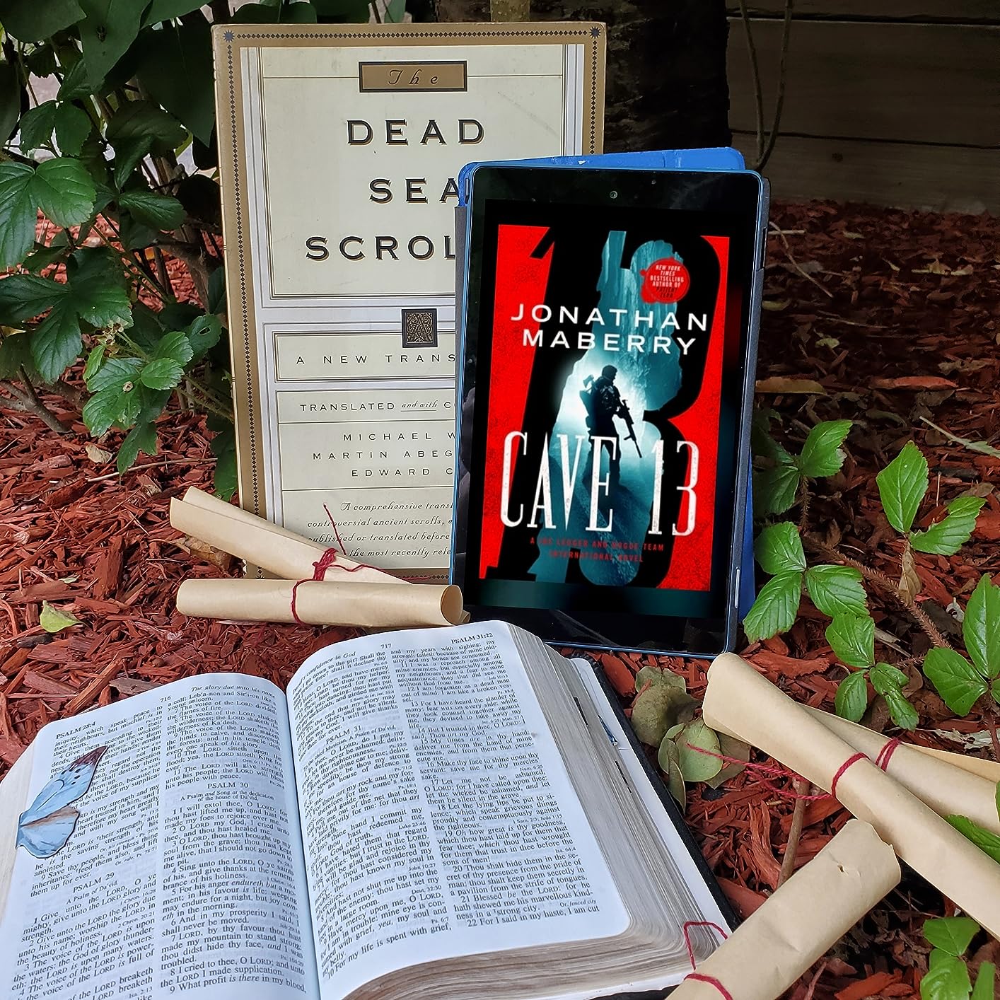 Amazon.com: Cave 13: A Joe Ledger and Rogue Team International Novel ...