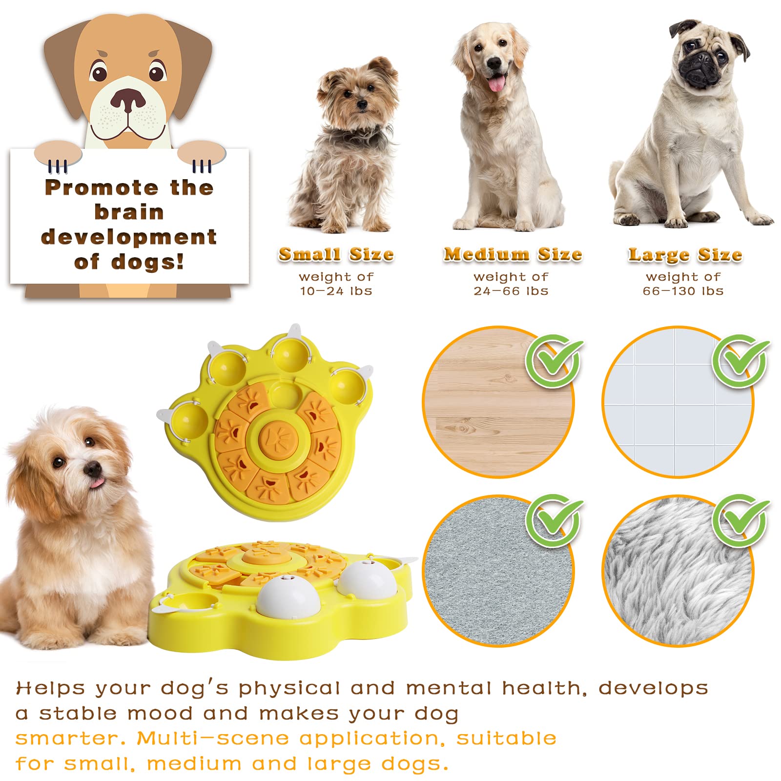 Dog Brain Size