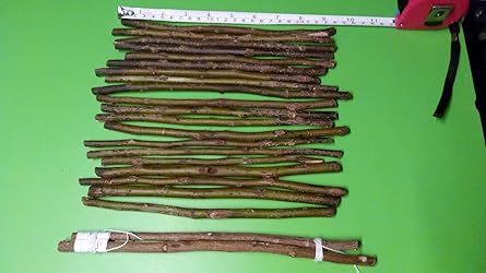 Buy Kavach enterprise® Ayurvedic Natural Organic Babool Datun (9 inch ...