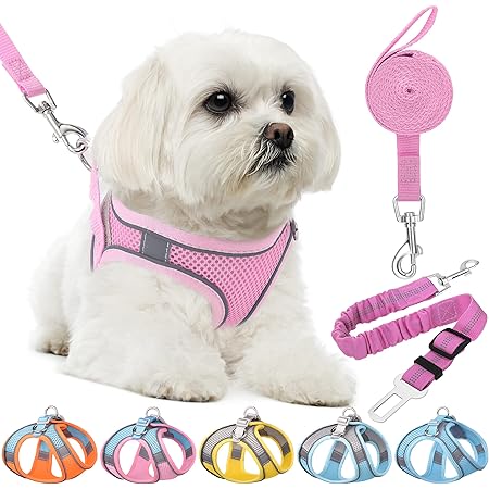 Amazon.com : PETPUBGNZS Soft Small Dog Harness and Leash Set Step in ...