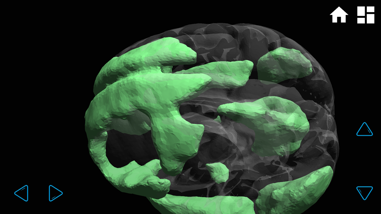 iBrain - App on the Amazon Appstore