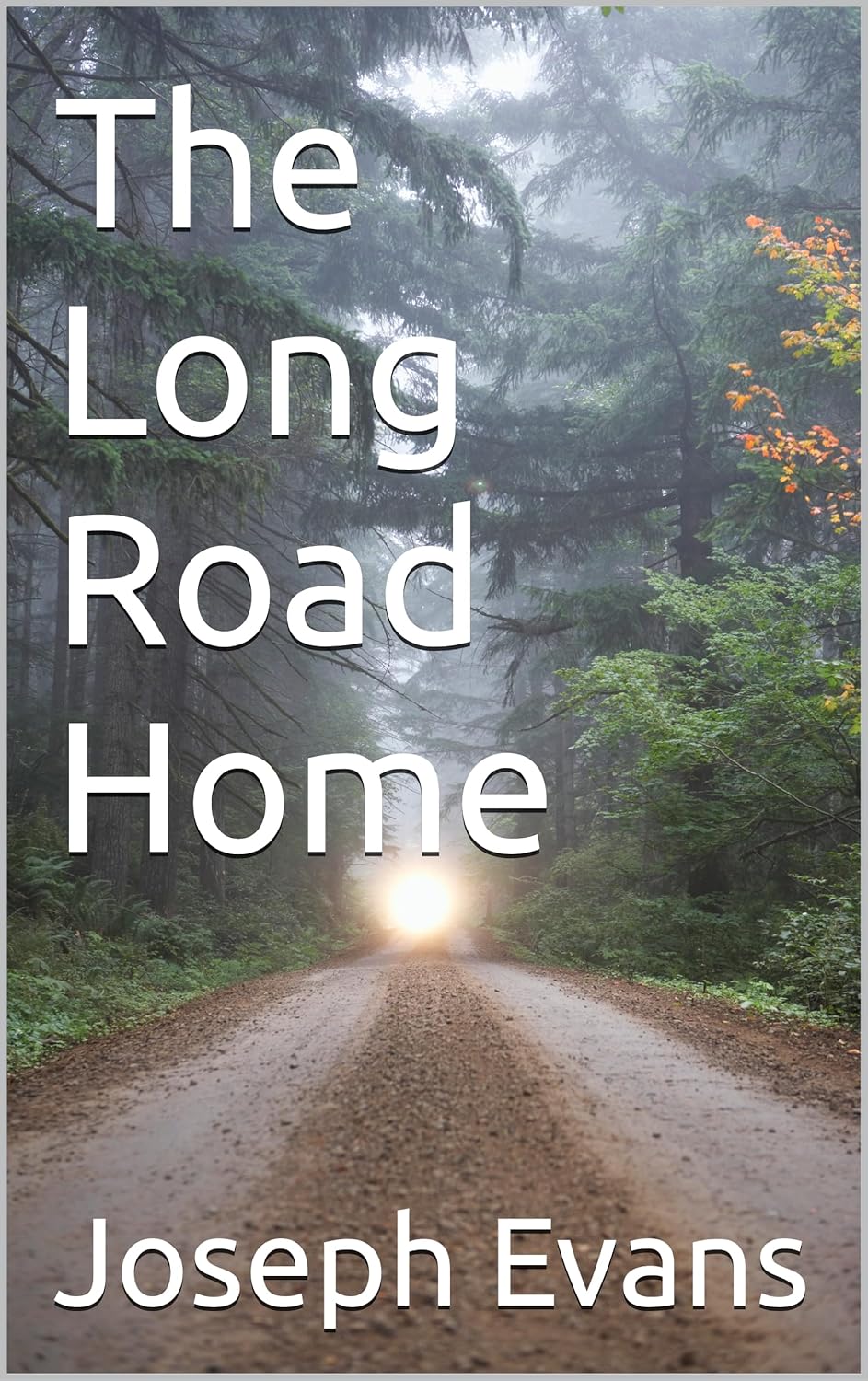 The Long Road Home: An EMP Post Apocalypse Adventure - Kindle edition ...