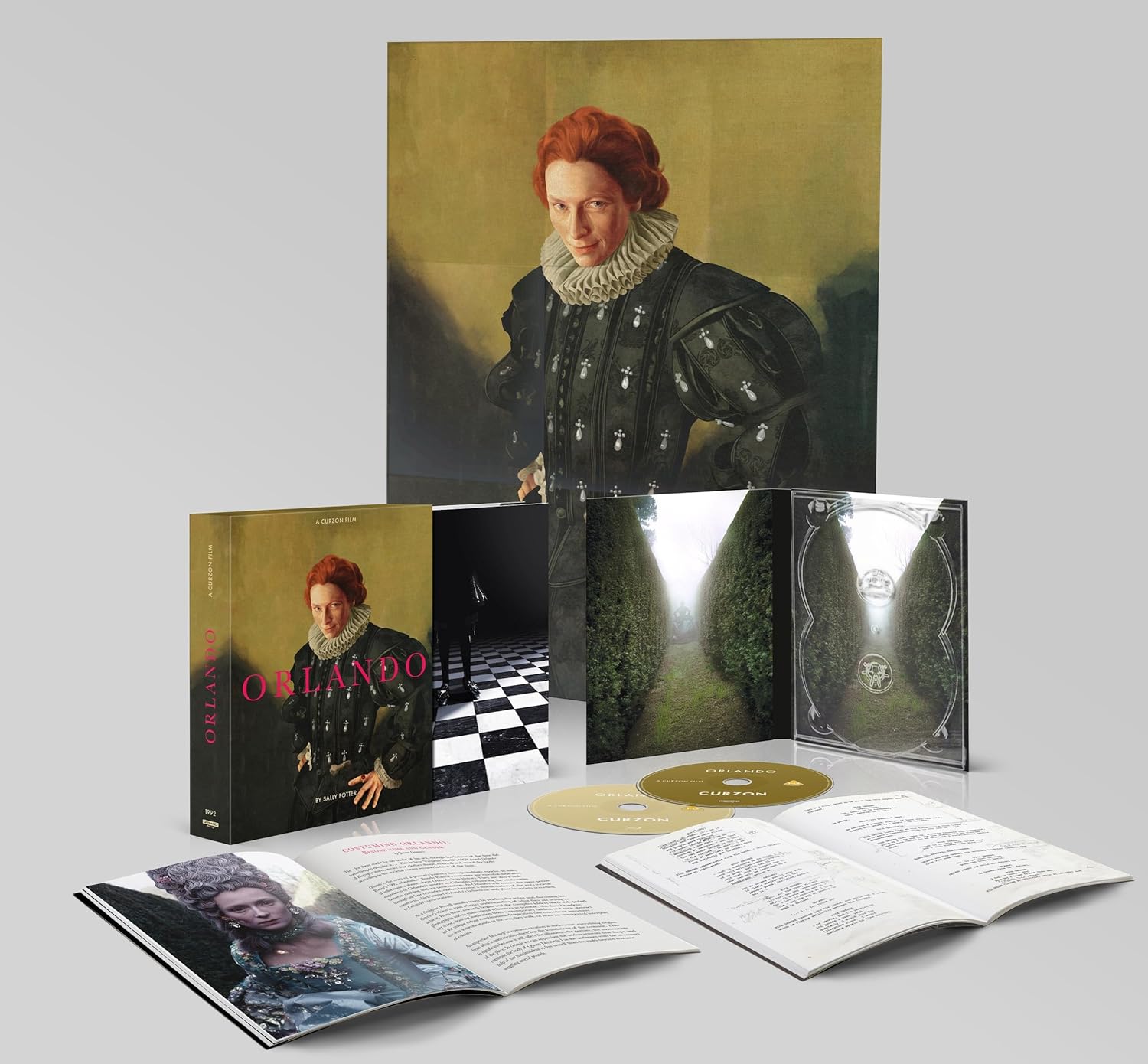 Amazon.com: Orlando : Tilda Swinton, Billy Zane, Lothaire Bluteau, John ...