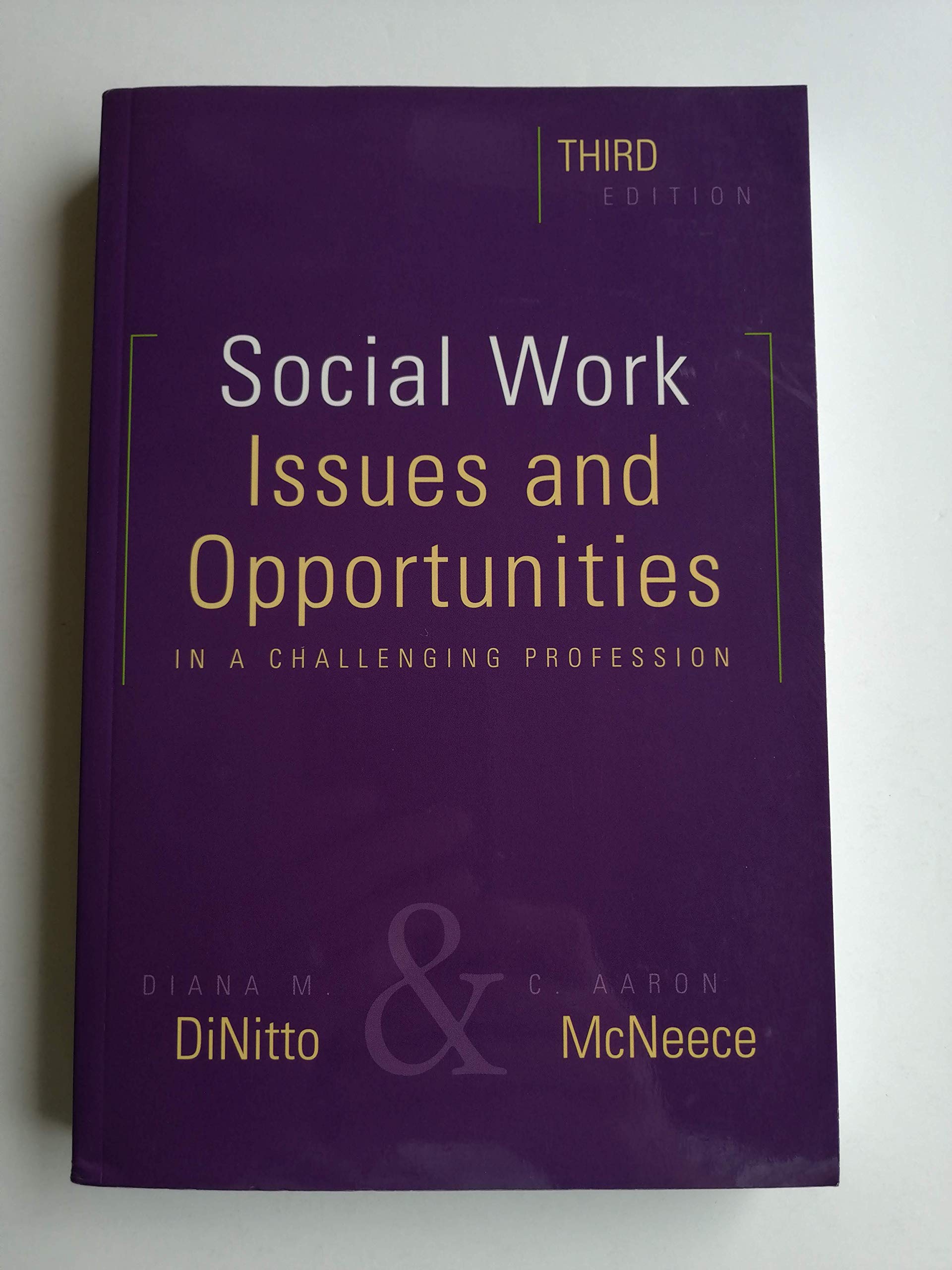 Social Work: Issues and Opportunities in a Challenging Profession ...