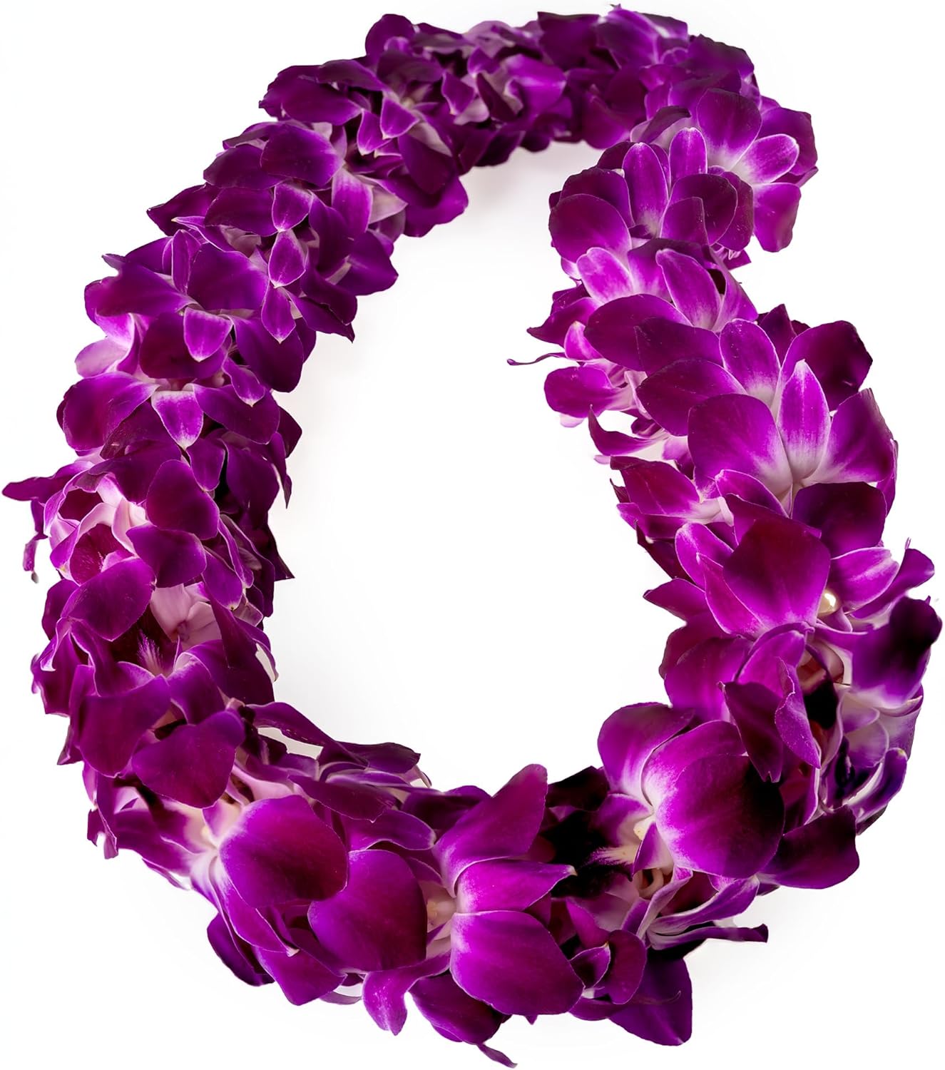 Amazon.com : Fresh Cut Orchids Flower Leis Pink, Fresh Orchids ...