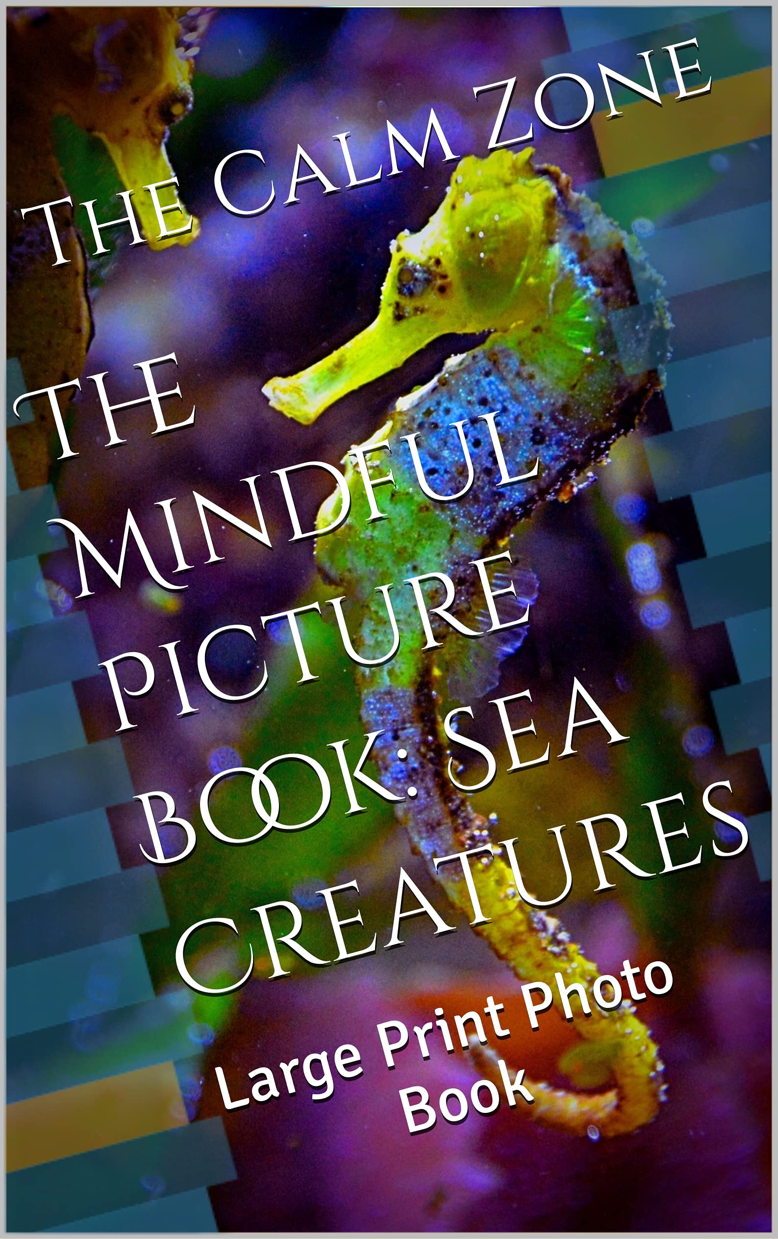 Buy The Mindful Picture Book: Sea Creatures: Large Print Photo Book ...
