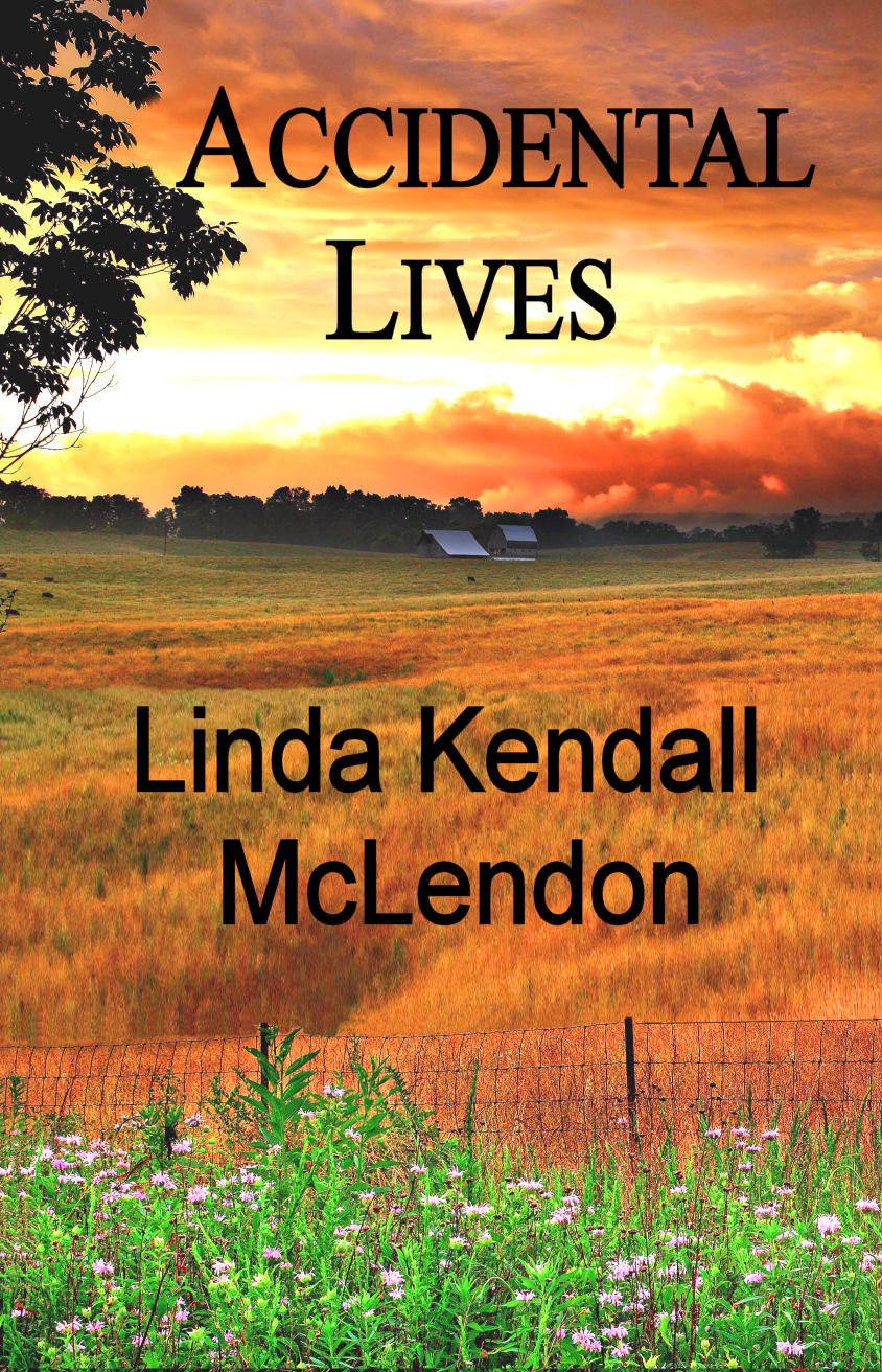 Accidental Lives (The Catherine DeLong Series Book 2) - Kindle edition ...
