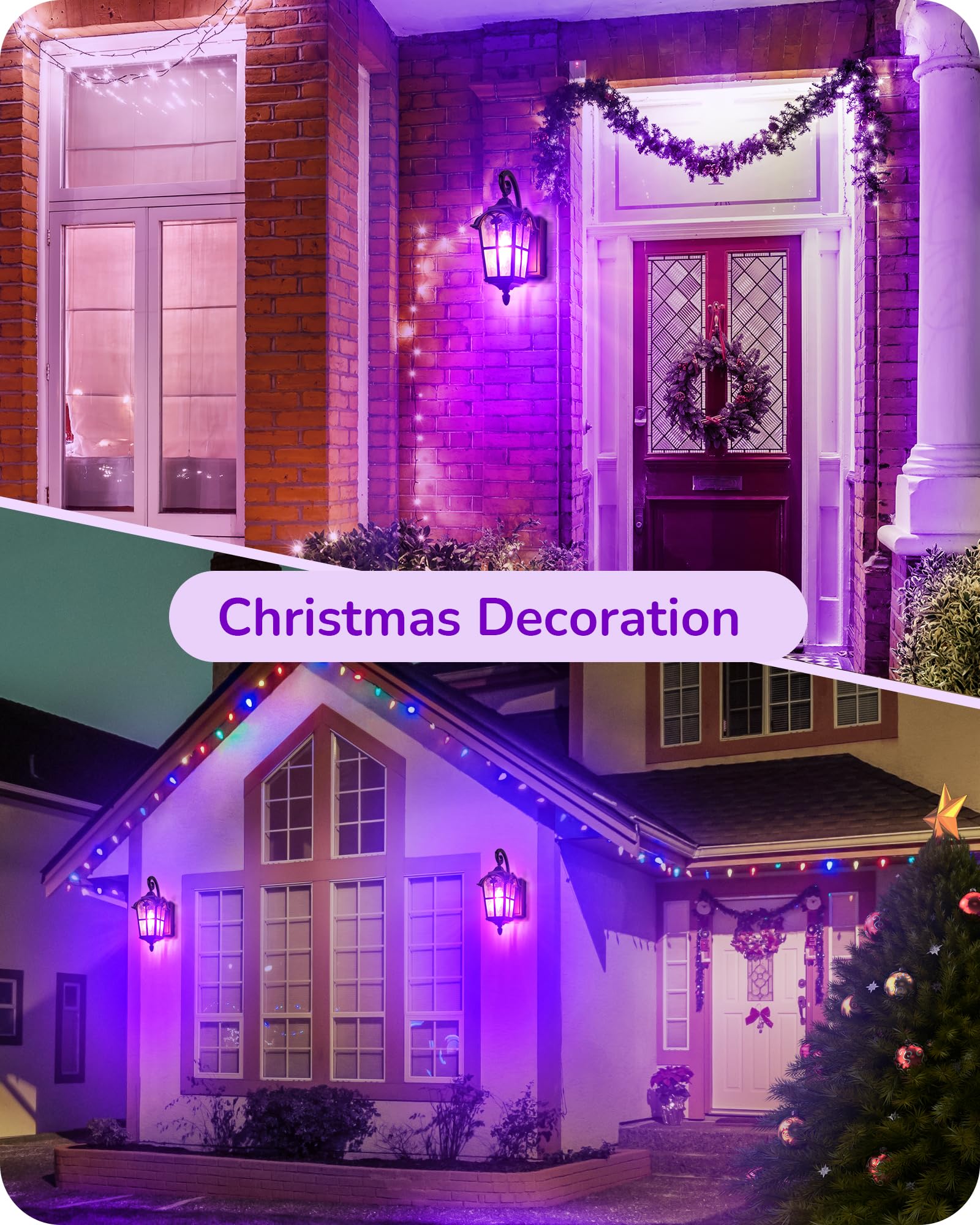 Snapklik.com : Christmas Purple Light Bulb, 8W A19 Dimmable LED Light ...