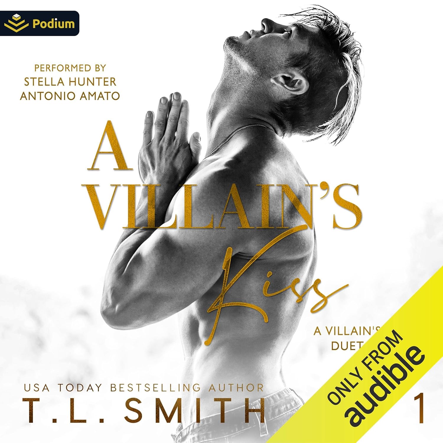 Amazon.com: A Villain's Kiss: A Villain's Duet, Book 1 (Audible Audio Edition): T.L. Smith ...