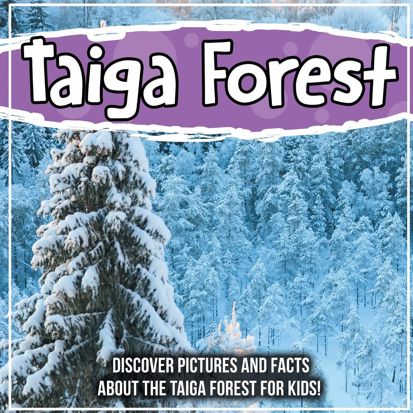 Taiga Forest: Discover Pictures and Facts About The Taiga Forest For ...