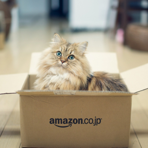 Cat in the Box Live Wallpaper:Amazon.ca:Appstore for Android