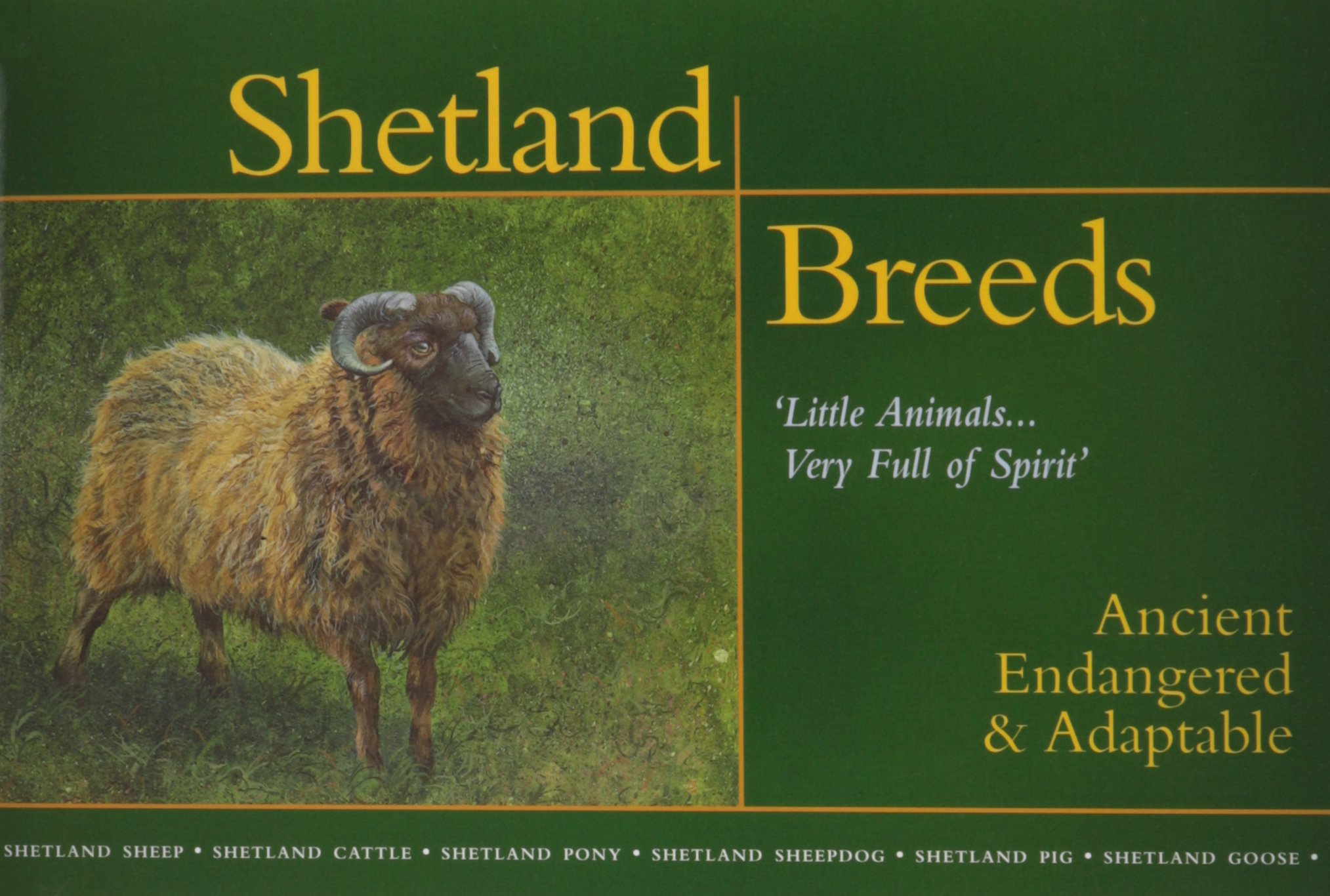 Shetland Breeds, 'Little Animals....Very Full of Spirit': Ancient ...