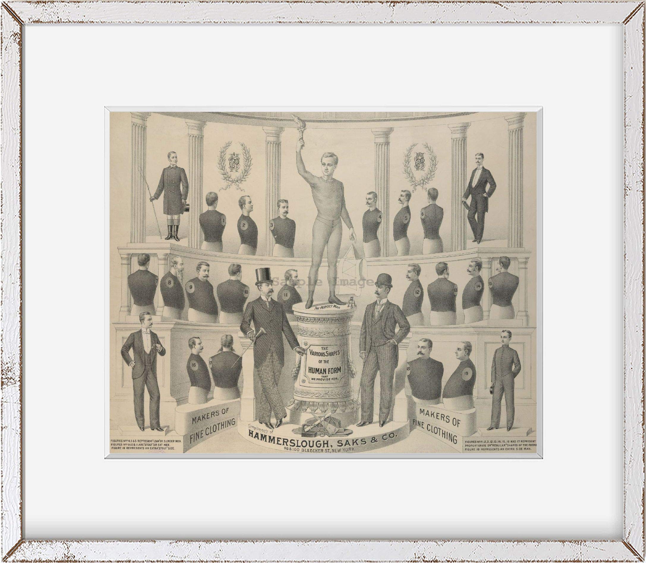 Different Body Frames