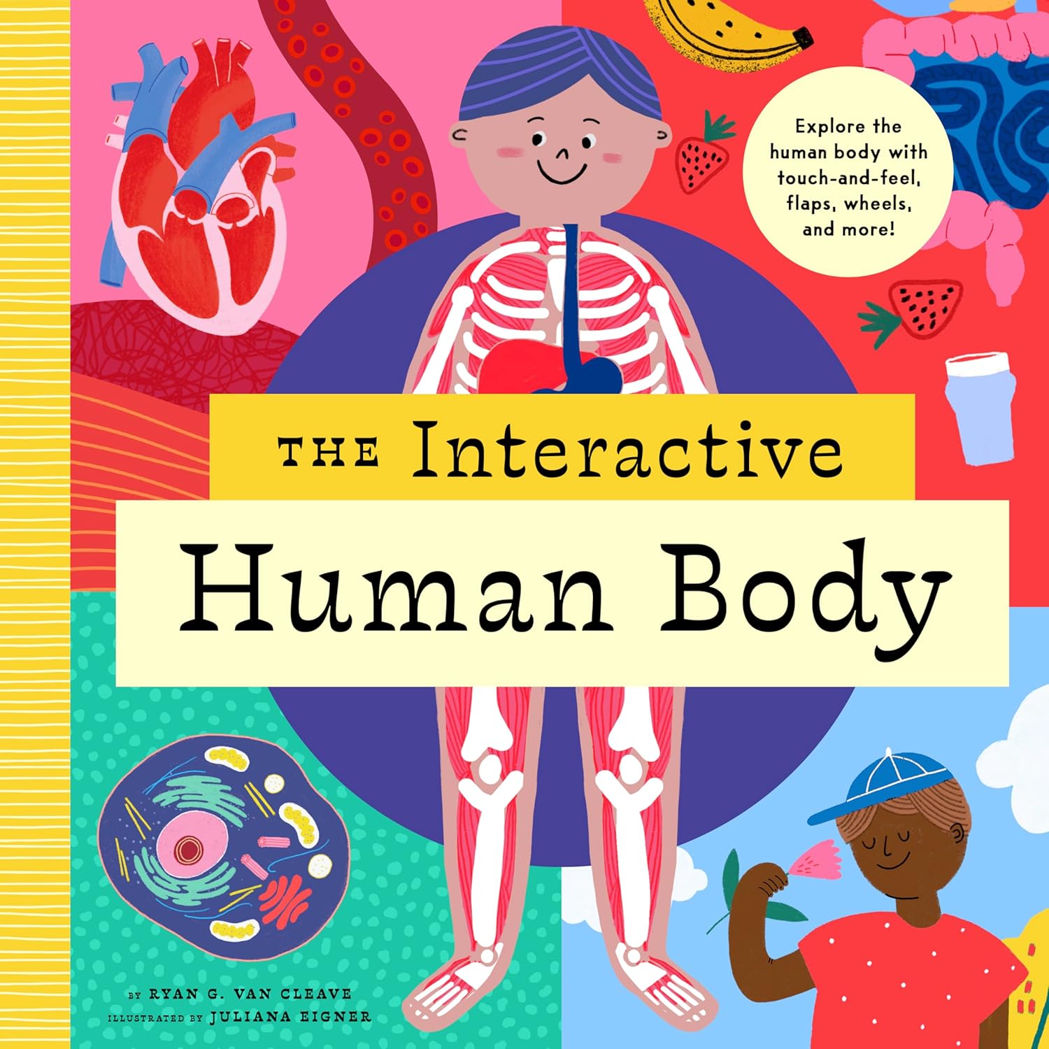 Amazon.com: The Interactive Human Body: Explore the human body with ...