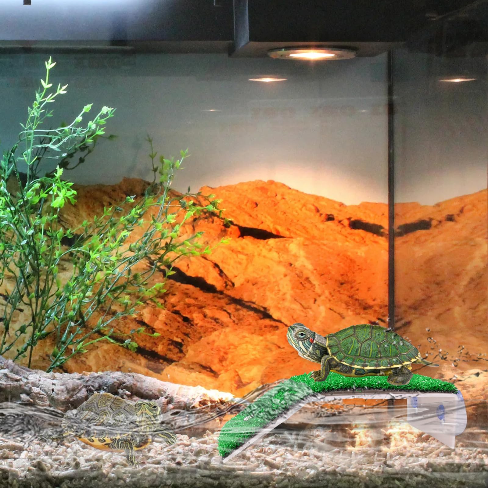 Snapklik.com : Lawn Basking Platform For Turtles, Simulated Grass ...