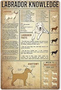 Amazon.com: Labrador Knowledge Metal Tin Signs Labrador Information ...