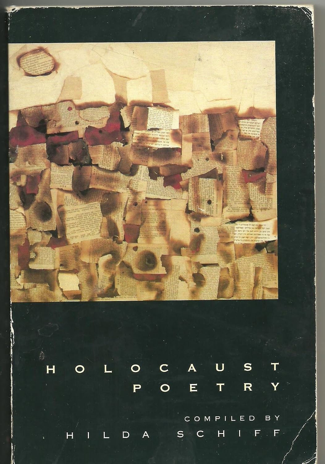 Holocaust Poetry: Hilda Schiff: 9780006278757: Amazon.com: Books
