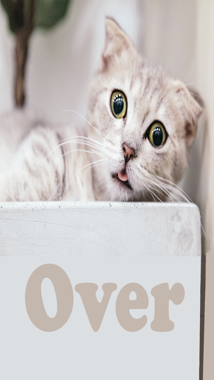 Cat Wallpaper For Kindle