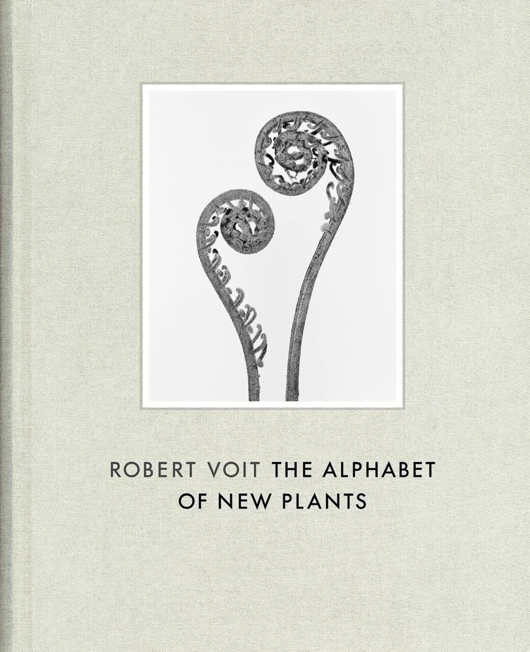 Amazon.com: Robert Voit: The Alphabet of New Plants: 9783775740463 ...