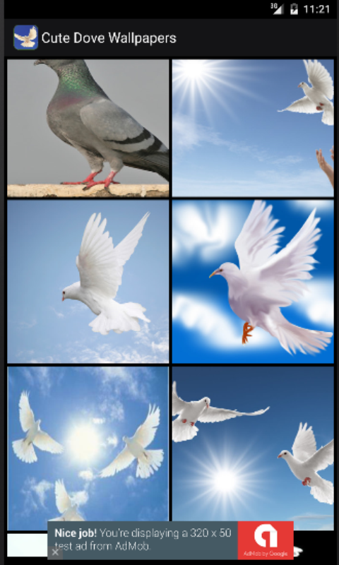 Cute Dove Wallpapers - App on Amazon Appstore