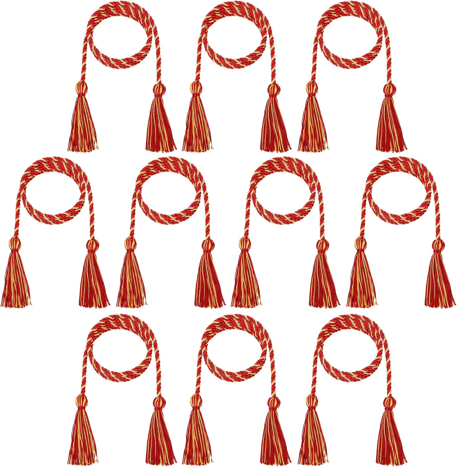 Amazon.com: D DODOU 10 Pieces Graduation Cords Polyester Graduation ...